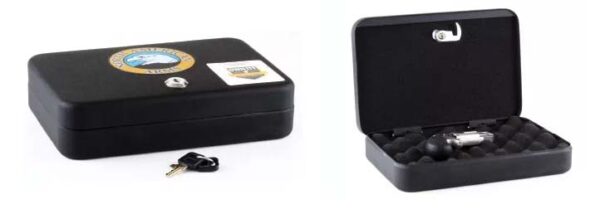 Compact Firearms - NAA Black Widow - Mini-Revolvers