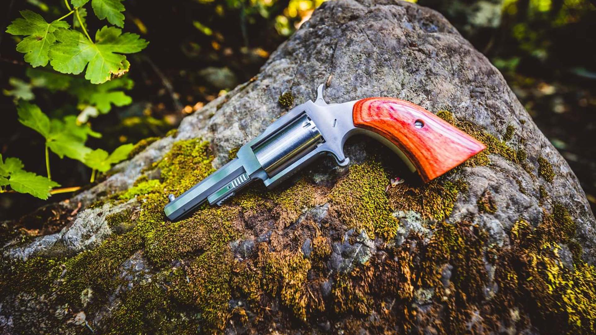 NAA Mini-Revolvers - Reliable Compact Firearms - Pistols