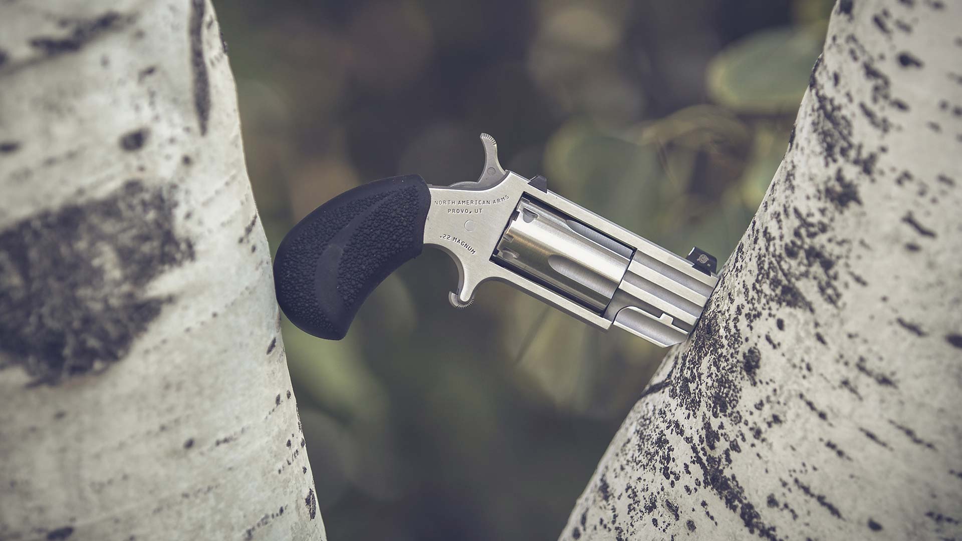 Safety - Personal Defense - Concealed Carry - North American Arms